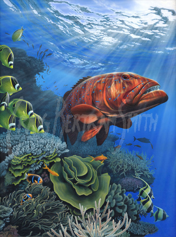 Craig Bertram Smith - Red Rover, Coral Trout canvas prints, Measures 1 ...